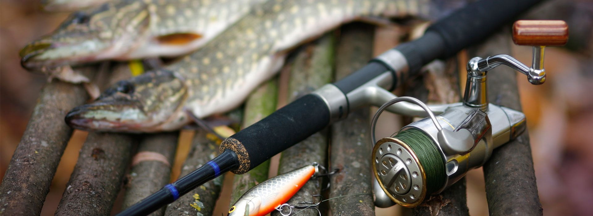 Kalastus | Niemenharjun Matkailukeskus